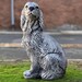 Concrete Collie Dog Statue Realistic Scottish Collie Sculpture Outdoor ...