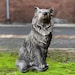 Concrete Collie Dog Statue Realistic Scottish Collie Sculpture Outdoor ...