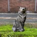 Concrete Collie Dog Statue Realistic Scottish Collie Sculpture Outdoor ...