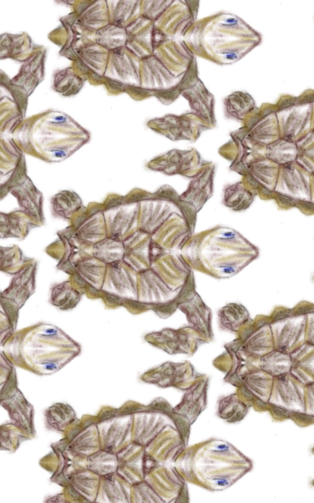 Caretta Caretta,green Turtle Design Pattern Wallpaper, Art ...