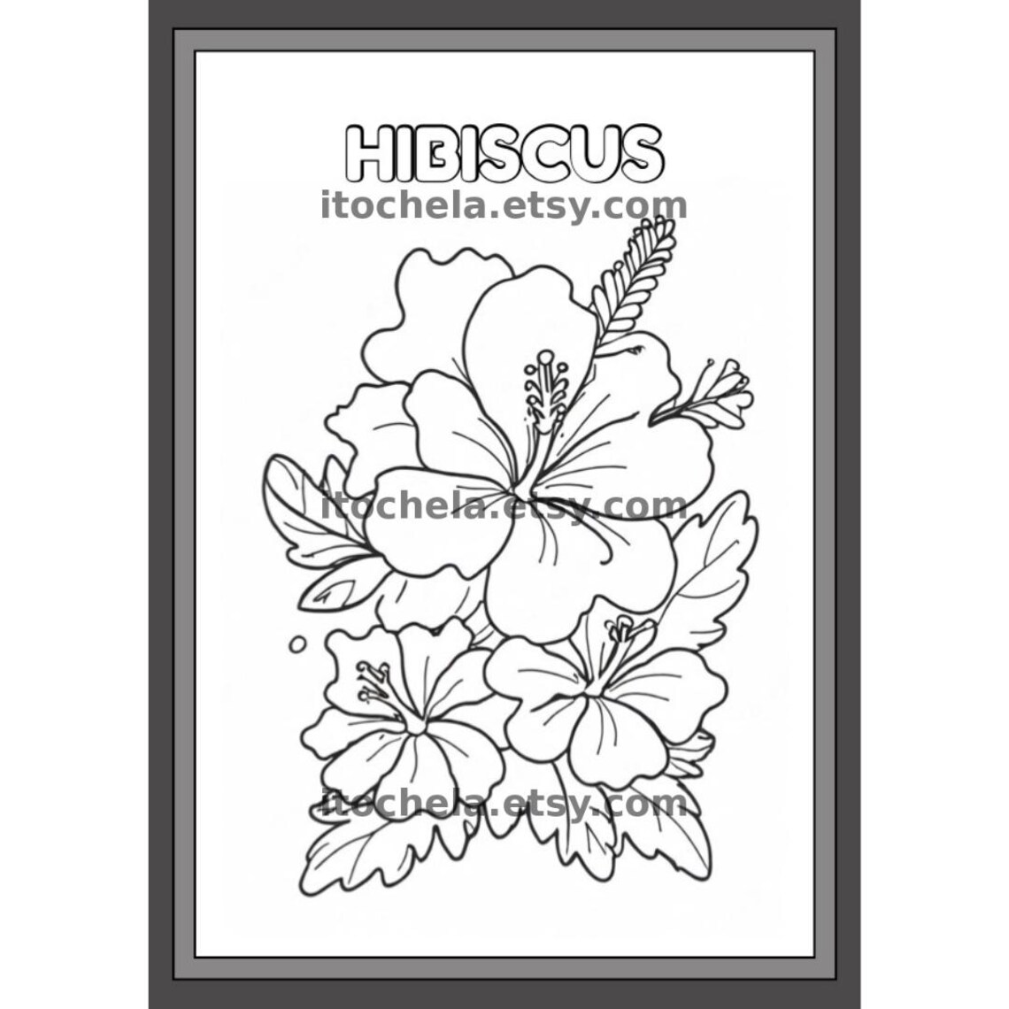 Floral Coloring Book: Bloom and Color Designs (PDF Format) - Etsy
