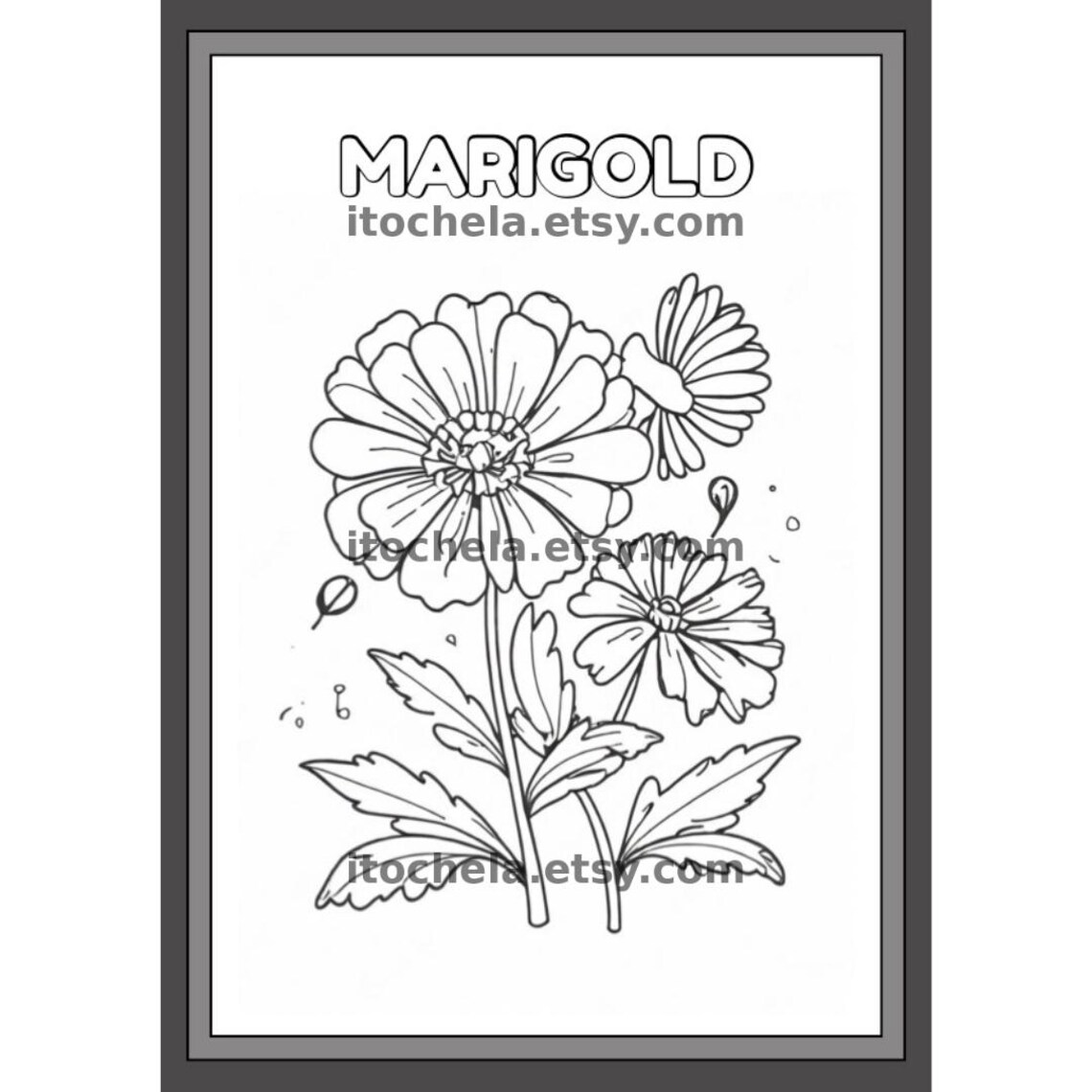 Floral Coloring Book: Bloom and Color Designs (PDF Format) - Etsy