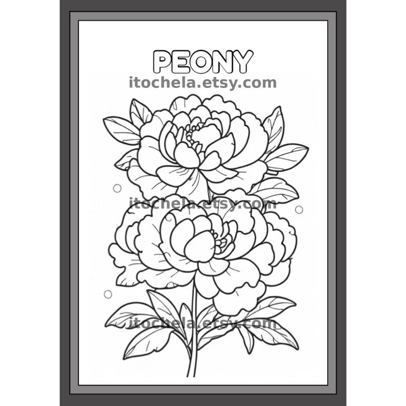 Floral Coloring Book: Bloom and Color Designs (PDF Format) - Etsy