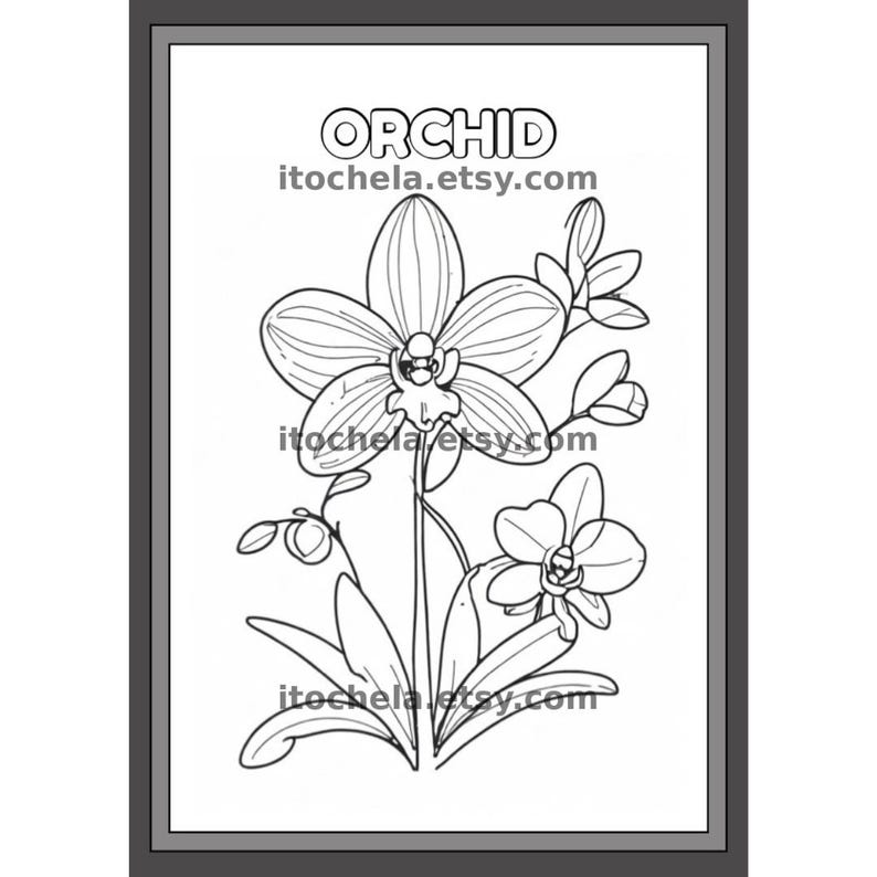 Floral Coloring Book: Bloom and Color Designs (PDF Format) - Etsy