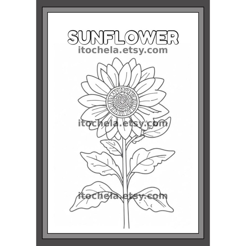 Bloom and Color: Delightful Floral Coloring Book, PDF Format, Available ...