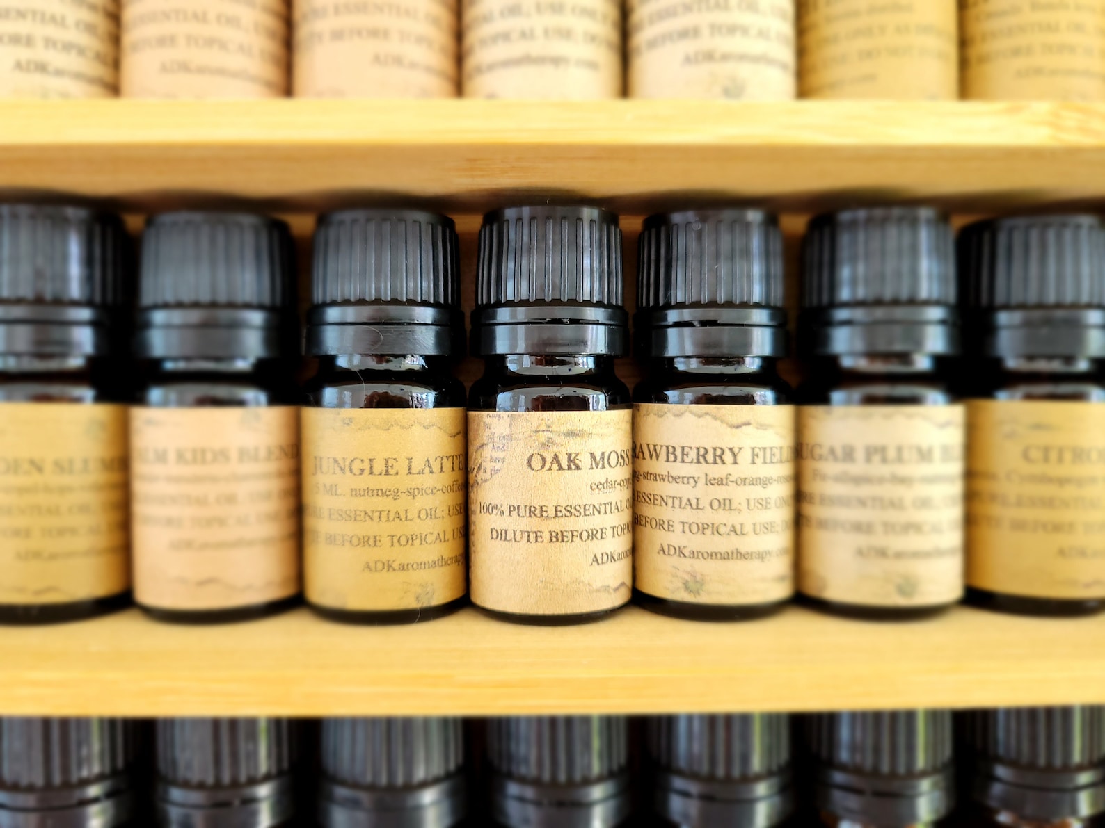 Oak Moss Essential Oil Blend. Cedars, Woods, Oakmoss, Tree Moss. 5+ ML ...