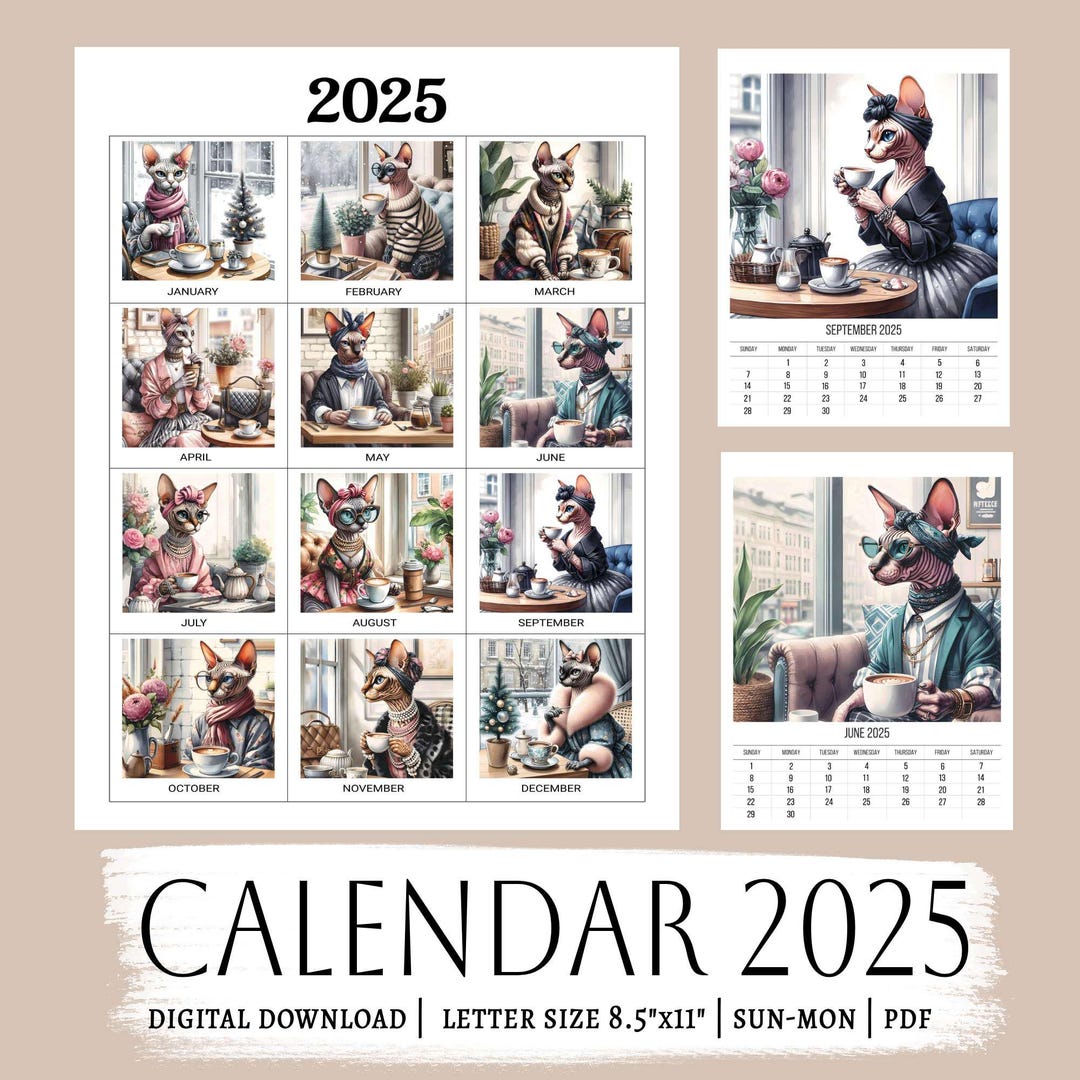 Minimalist Wall Calendar 2025 — Printable PDF Aesthetic Calendar With ...