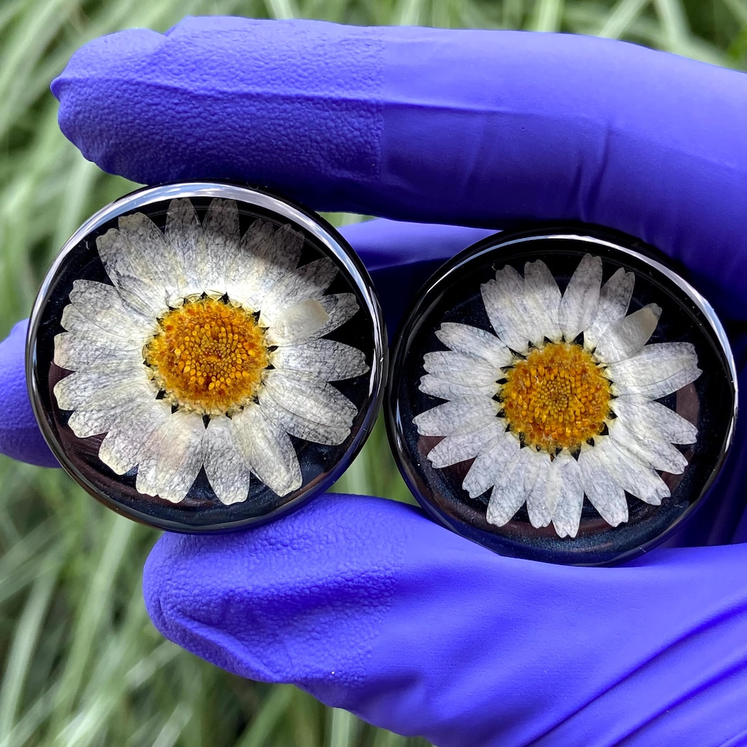 Black Pearlescent Resin Plugs With Real Daisy - Etsy