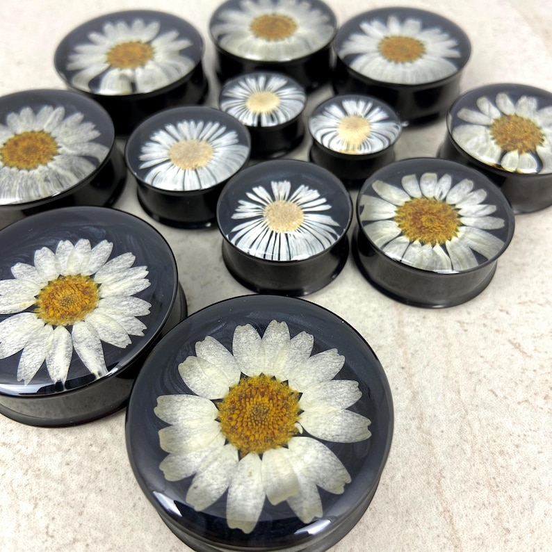 Black Pearlescent Resin Plugs With Real Daisy - Etsy