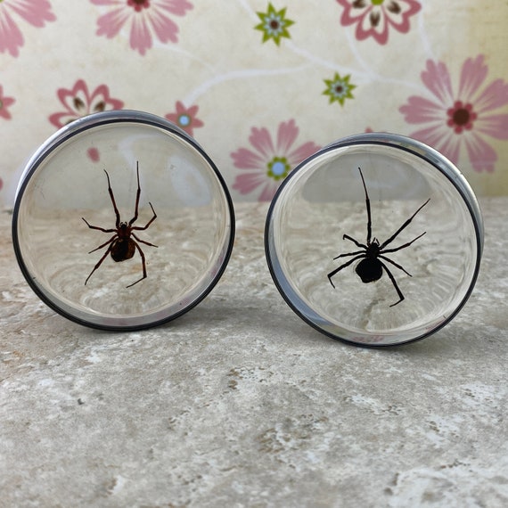Embedded Black Widow Spider Plugs limited Stock RP-040 - Etsy