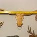 Bull's Head Scroll Saw or Bandsaw Pattern - Etsy