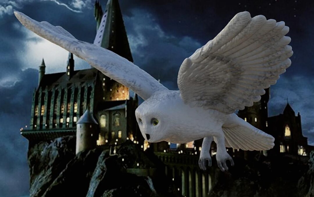 Hedwig Snow Owl 3D Printed Harry Potter Decor Magical Owl Sculpture - Etsy