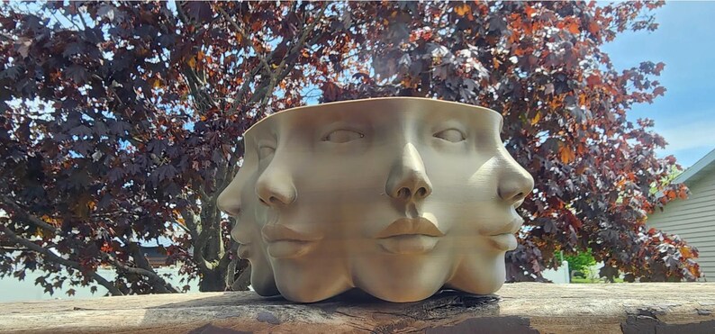 Titi Multi-face Bowl/planter 3D Printed Artistic Décor Unique Multi ...
