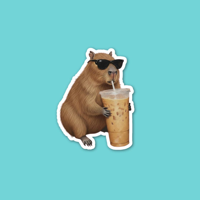 Capybara Sticker Laptop - Etsy
