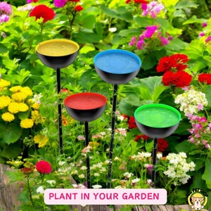 Red Bee Watering Station, Water Refill Station, Bee Drinking Fountain ...