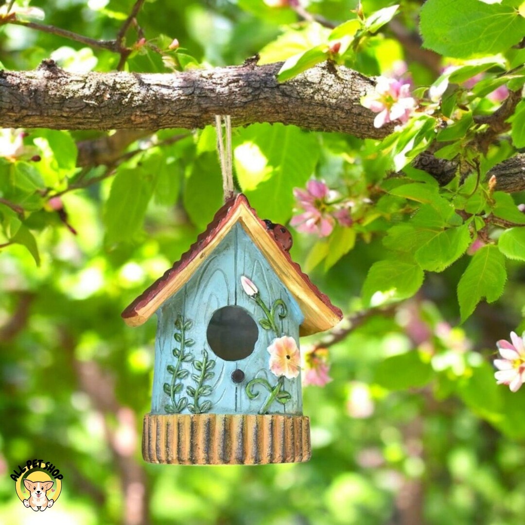 Resin Bird Cage, Hummingbird House, Bird House for Birdwatching, Bird ...