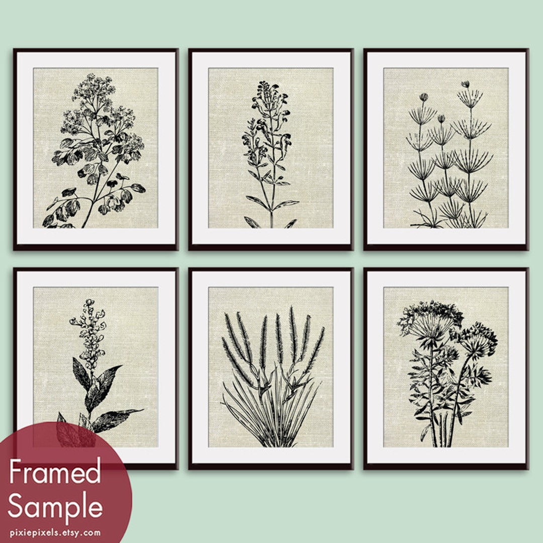 Wild Field Flowers series B7 Set of 6 Art Prints featured - Etsy