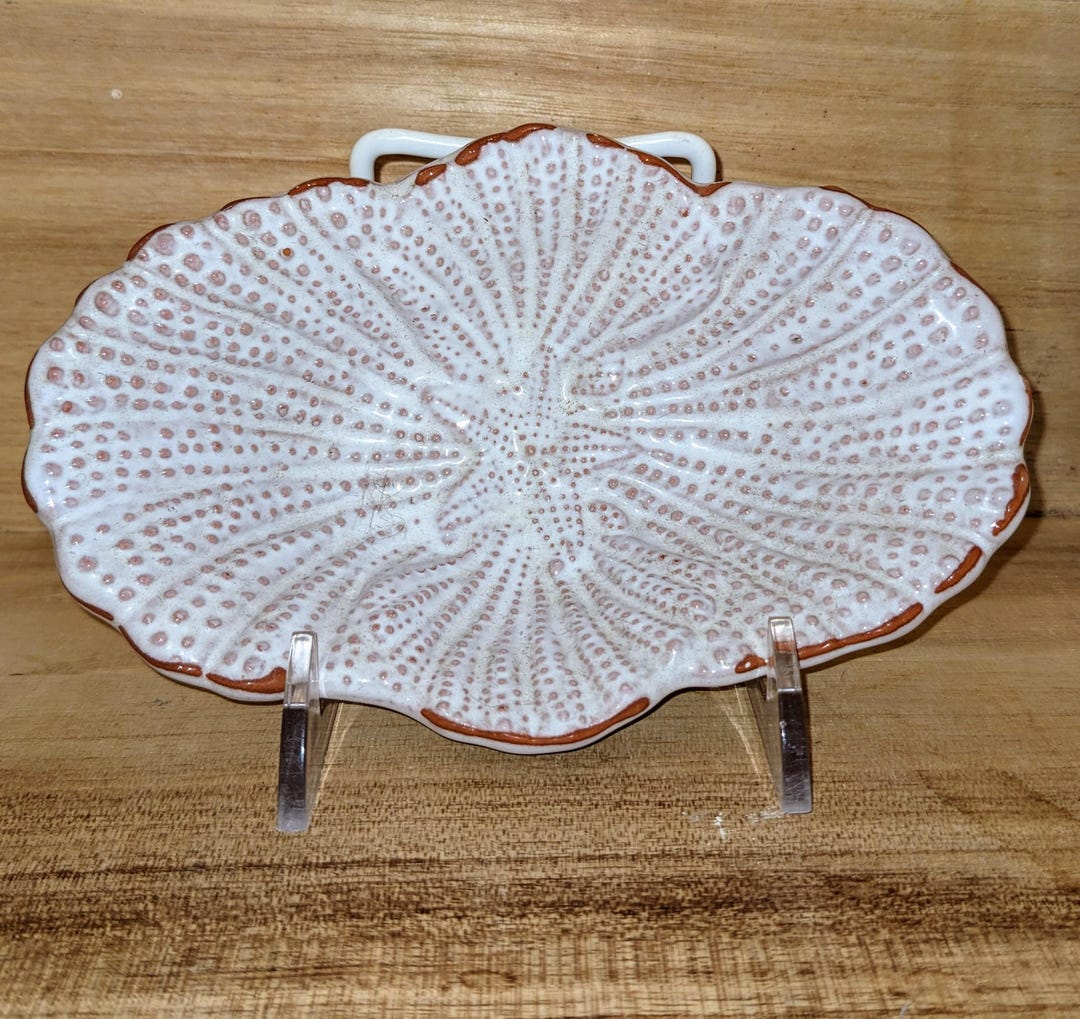 Mud Pie Terracotta Mini Shell/starfish Dip Cup - Etsy