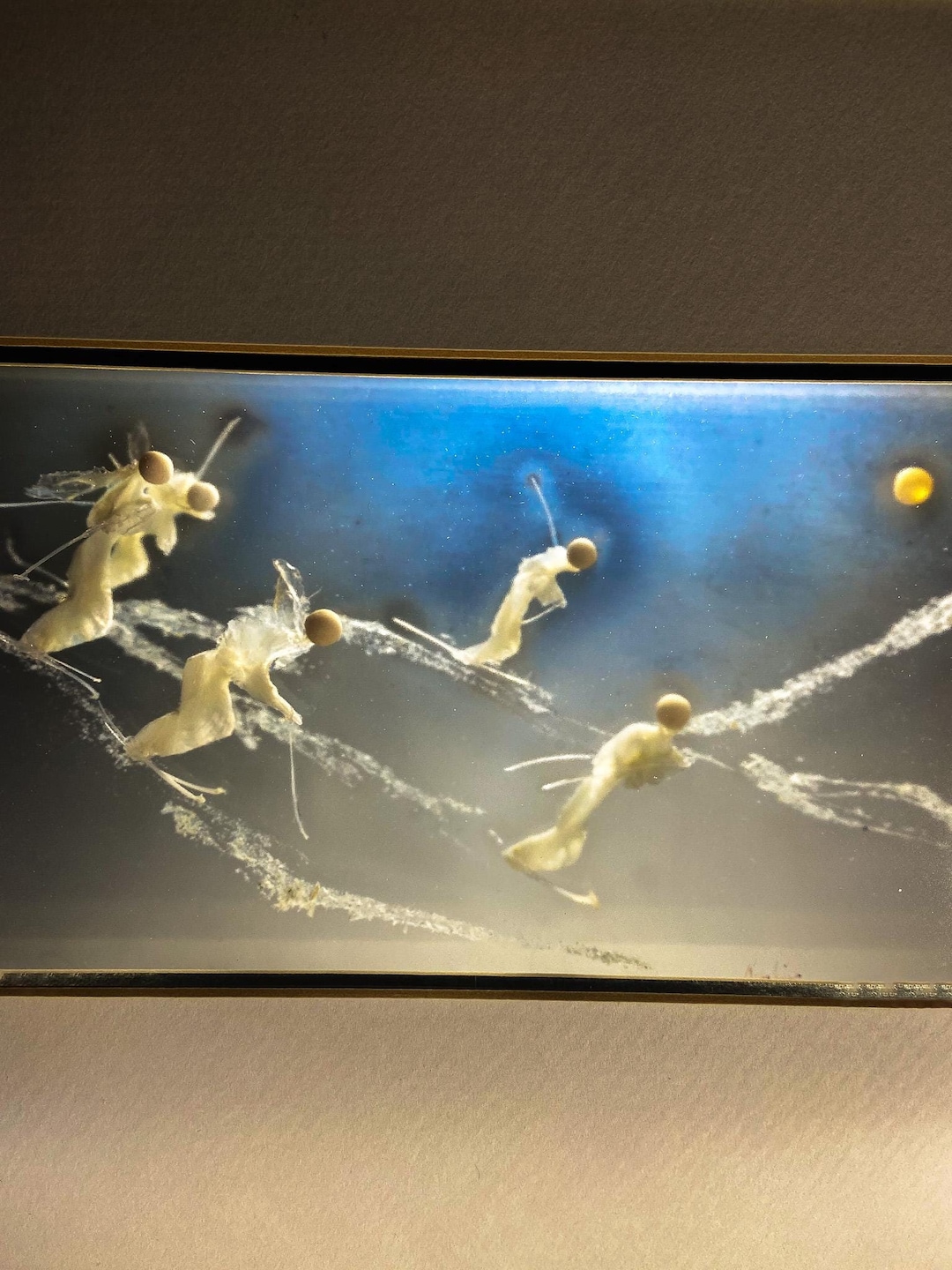 UNIQUE Original Signed/stamped Artwork by Canadian Artist Roseline ...