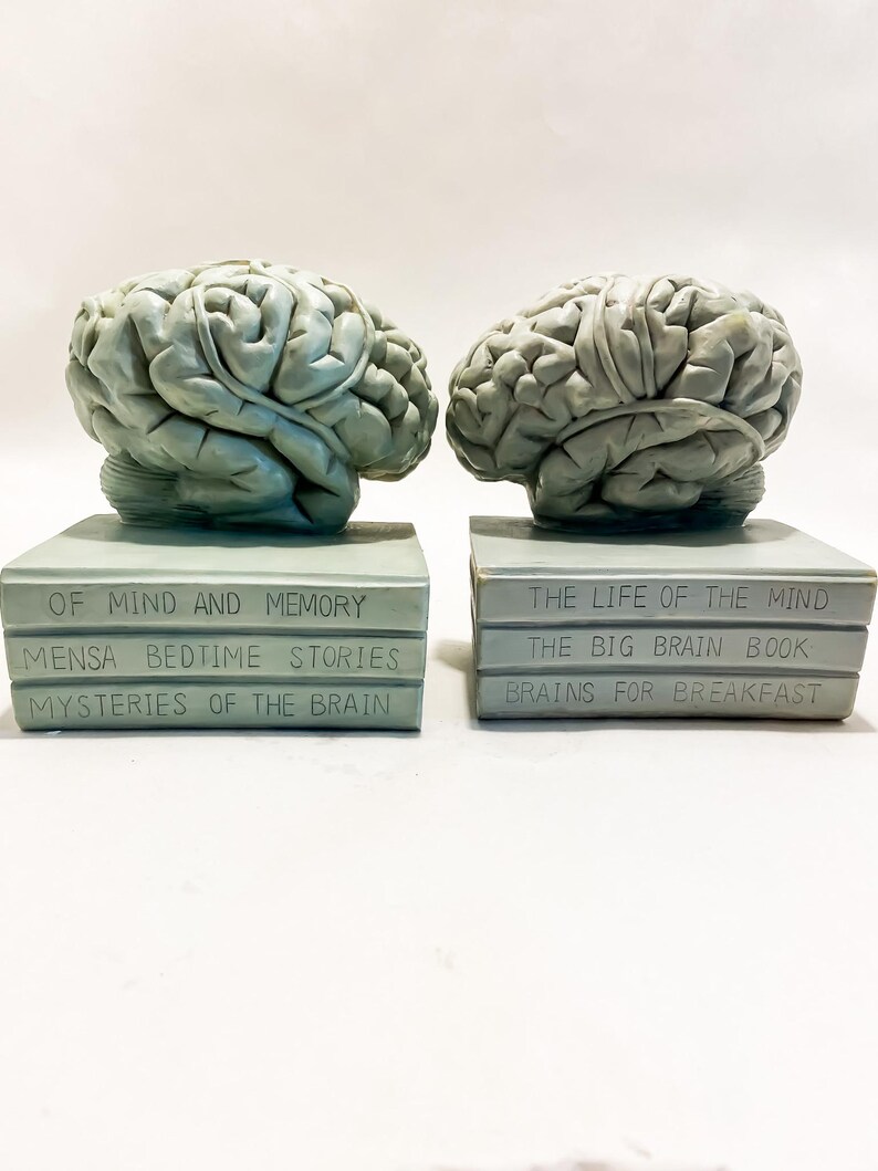 VINTAGE Big Beautiful Brain Bookends - Etsy