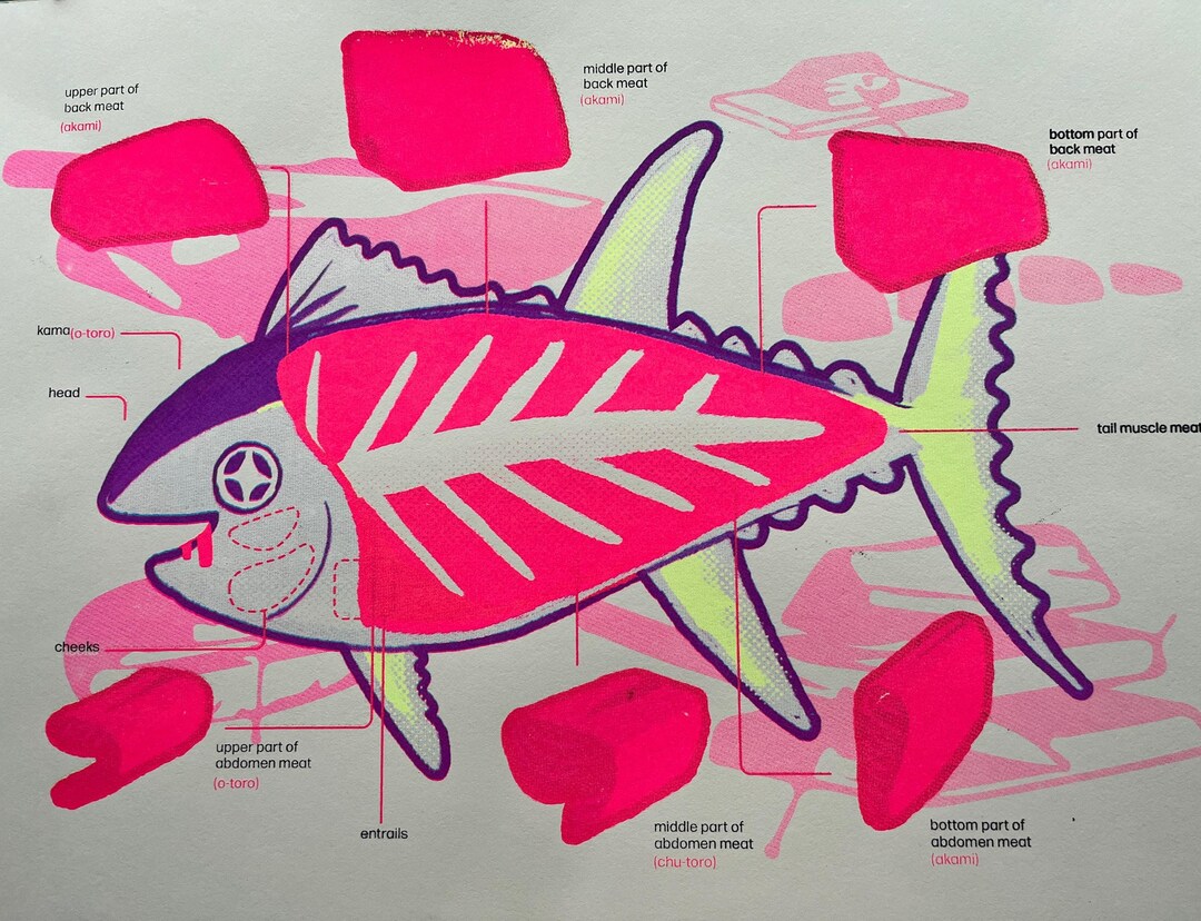 Anatomy of a Yellowfin Tuna CMYK Screenprint B GRADE - Etsy