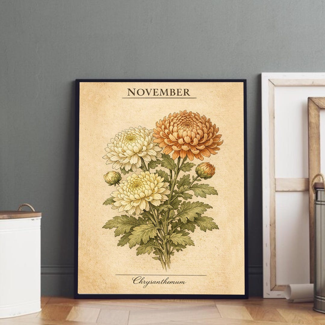 Chrysanthemum November Birth Flower Print, Vintage Botanical Art ...
