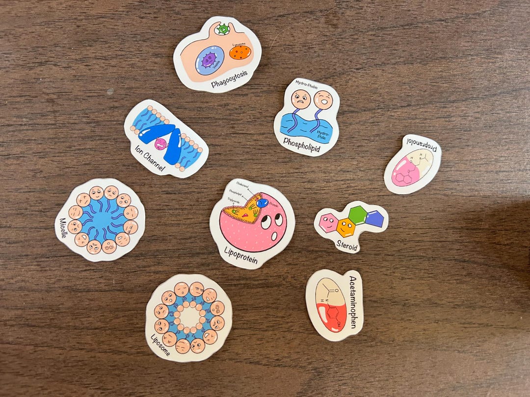 Biomedical Stickers, Science Stickers, STEM Stickers, Cute Stickers for ...