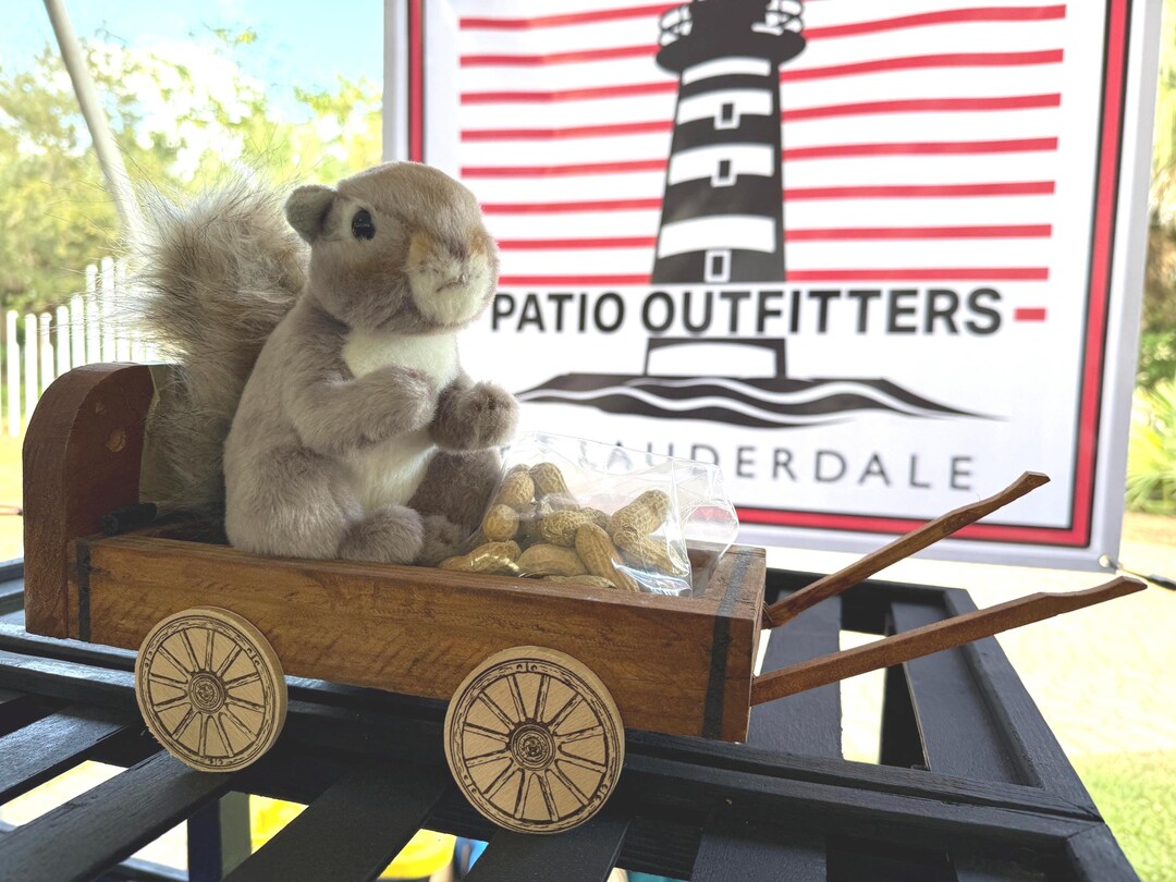 Squirrel Wagon With Mount and Bucket, Squirrel Feeder, Wooden Outdoor ...
