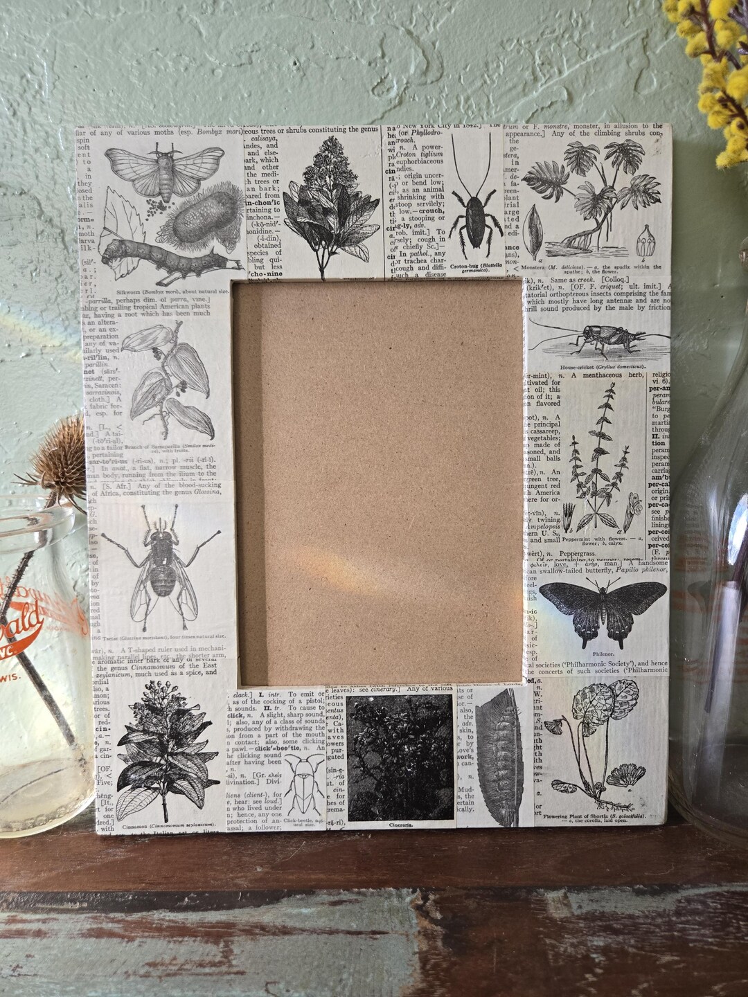 Vintage 5x7 Plants & Insects Picture Frame - Plants - Insects - Vintage ...