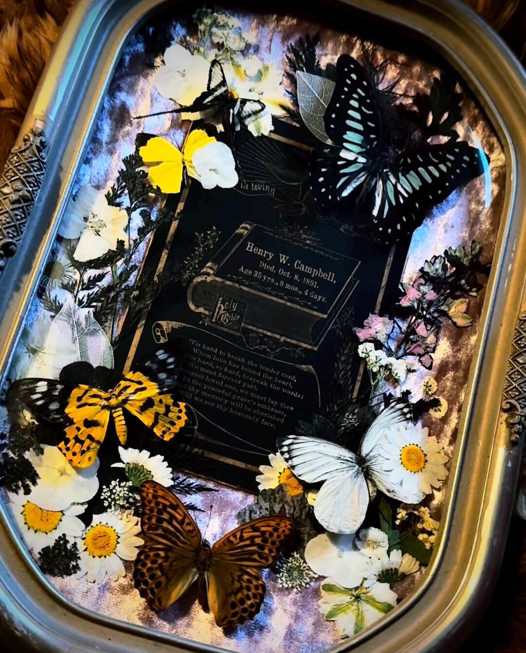 Antique Bubble Glass Framed Insect Art W/ Post-mortem Funeral Card ...