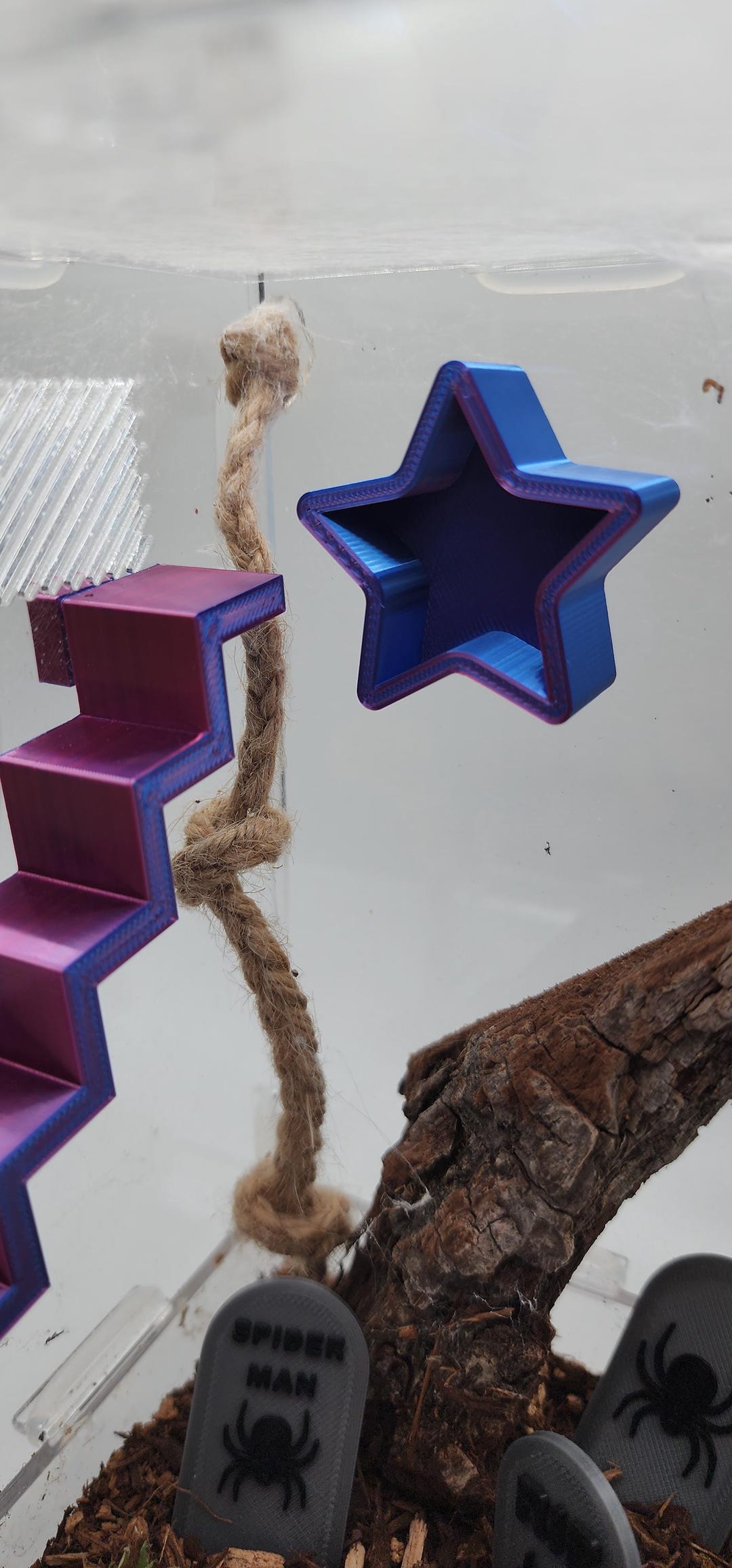 Jumping Spider Pink Blue Star House Hideout 3d Printed - Etsy