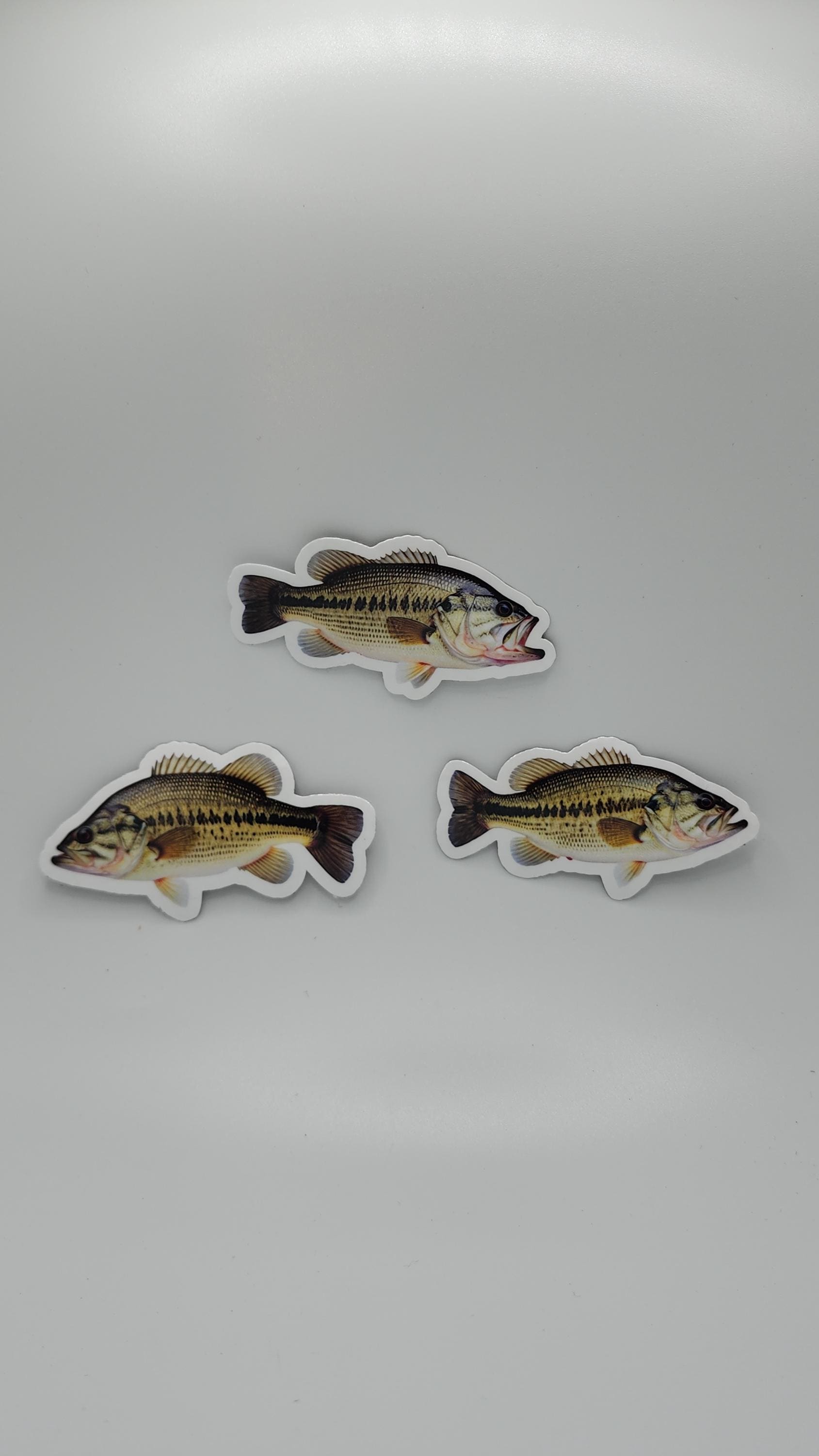 3 Pack Largemouth Bass Sticker - Etsy