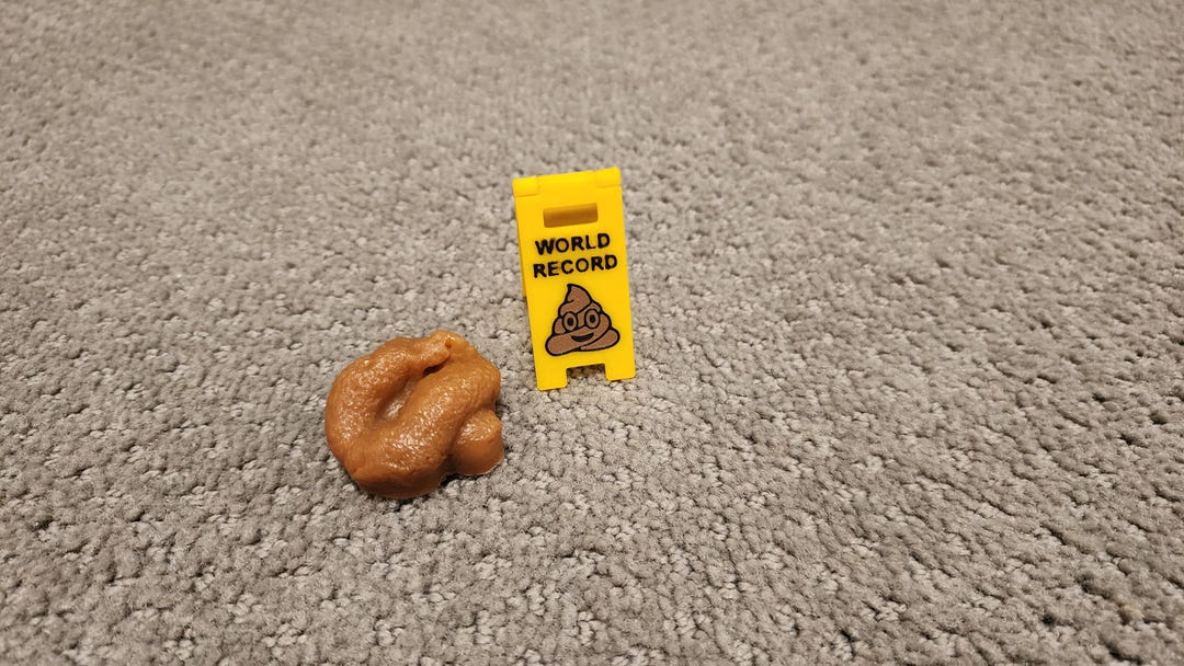 Funny Prank World Record Floor Sign, Dollhouse Miniature - Etsy