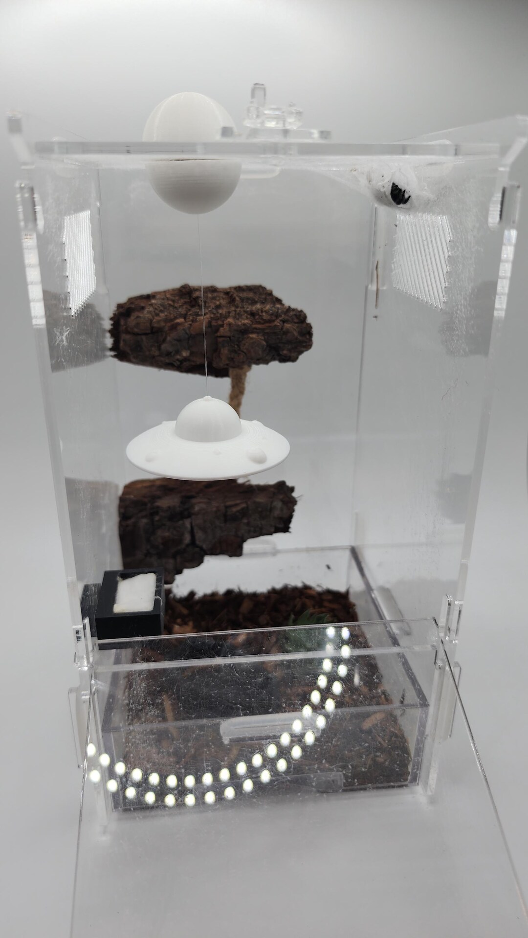 Jumping Spider Floating White UFO and Moon 3d Printed - Etsy