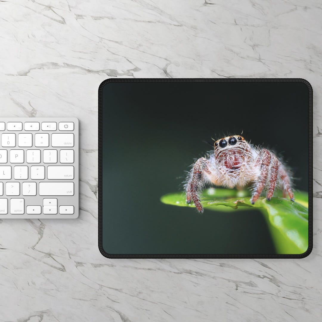 Jumping Spider Mouse Pad, Insect Desk Mat, Nature Lover Gift - Etsy