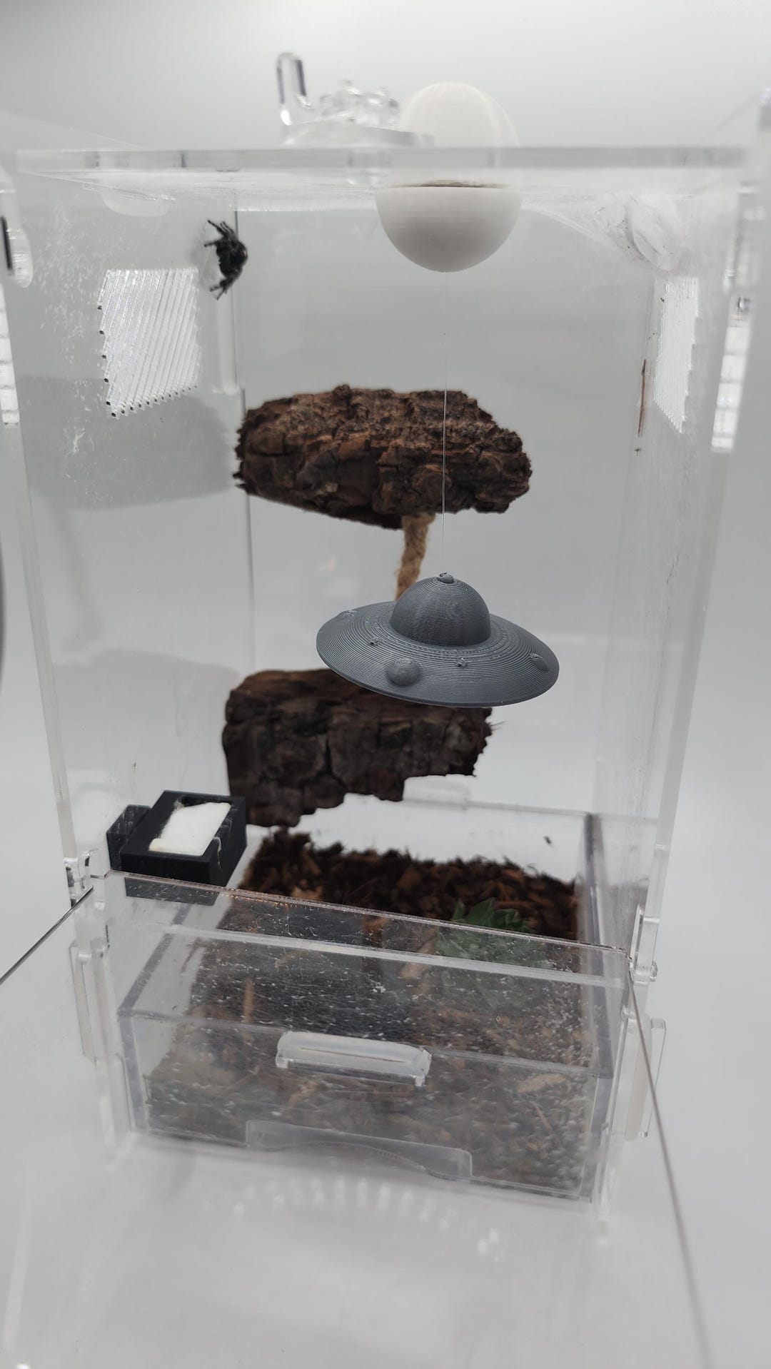 Jumping Spider Floating Gray UFO and Moon 3d Printed - Etsy