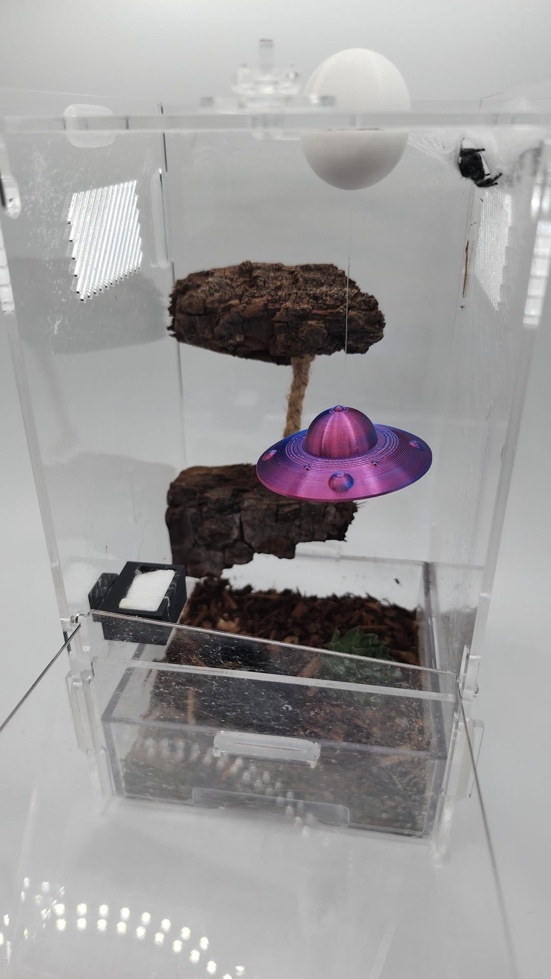 Jumping Spider Floating UFO and Moon 3d Printed Mutiple Colors - Etsy