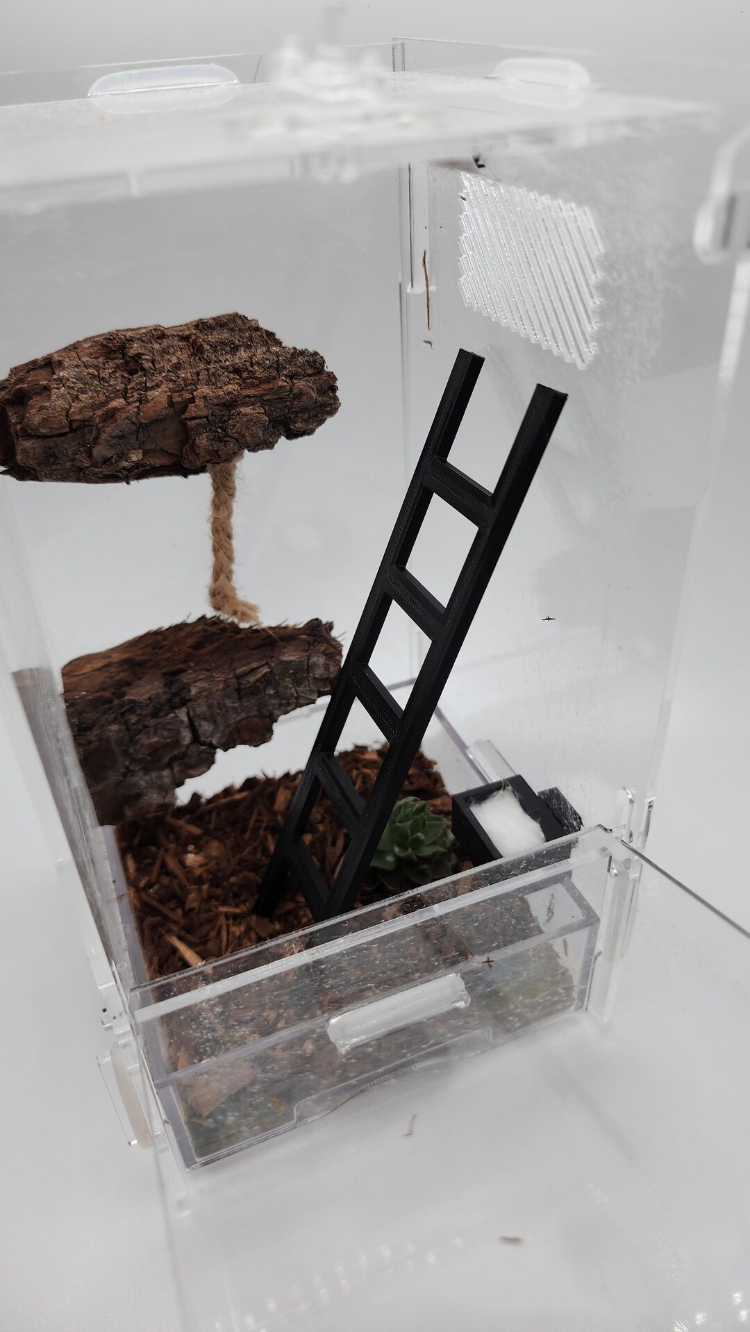 Jumping Spider Ladder | 3D Printed Enclosure Decor | Terrarium Climbing ...