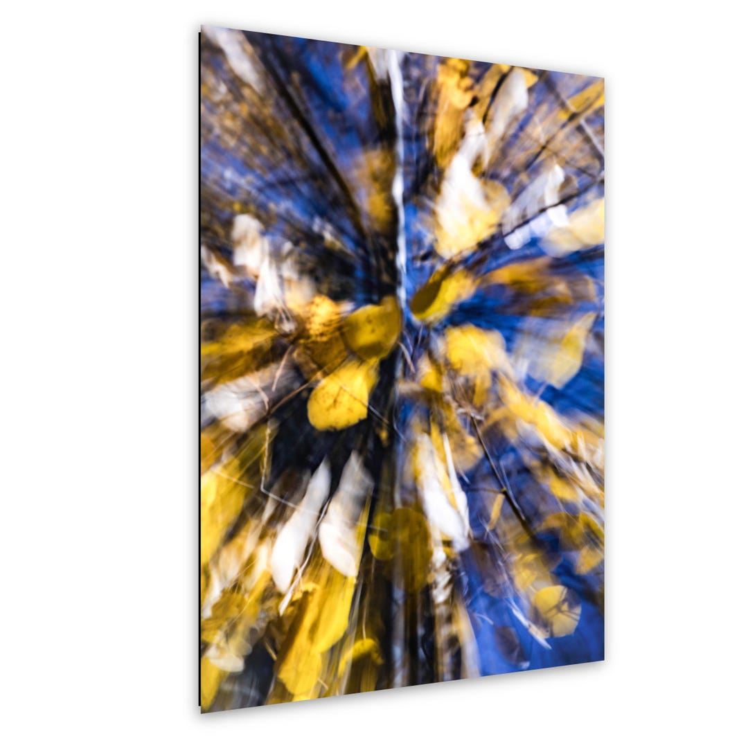 Fall Color Immersion 2 - Etsy