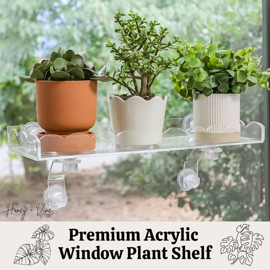 Window Plant Shelf, Acrylic Suction Cup Windowsill Shelf for Plants and ...