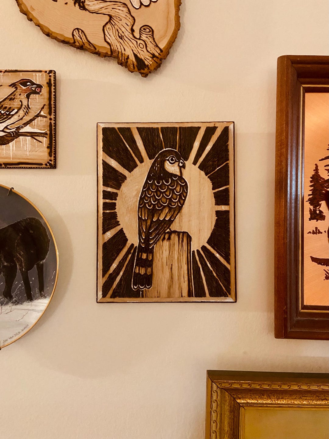 Sharp Shinned Hawk Pyrography Wall Art - Etsy