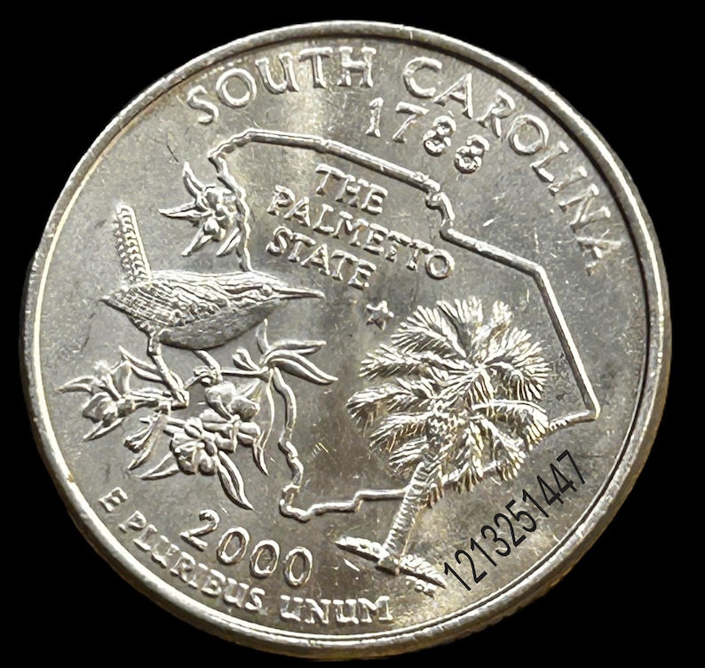 2000P South Carolina State Quarter - Etsy