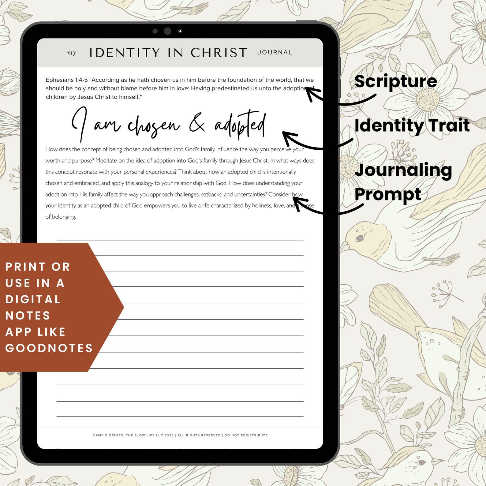 Identity in Christ 30 Day Devotional Journal Digital PDF Download ...
