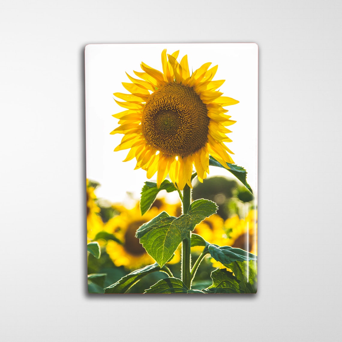 1000 Custom Refrigerator Magnets 2x3 - Etsy