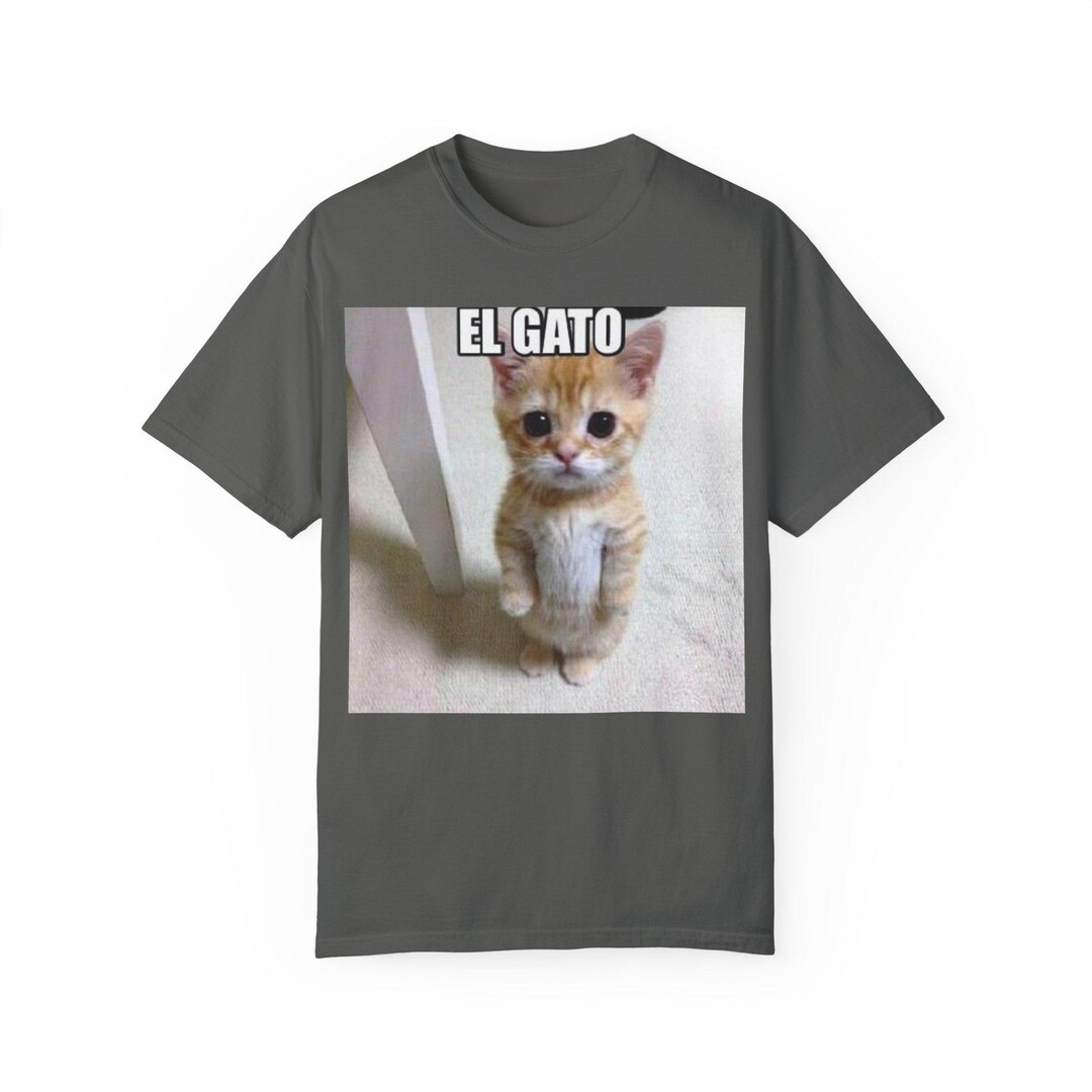 Funny El Gato Meme Unisex Garment-dyed T-shirt, Joke Cat Graphic Tee ...