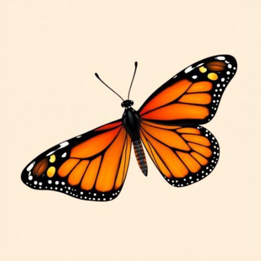 Monarch Butterfly | Butterfly Clipart | Insect Clipart | High ...