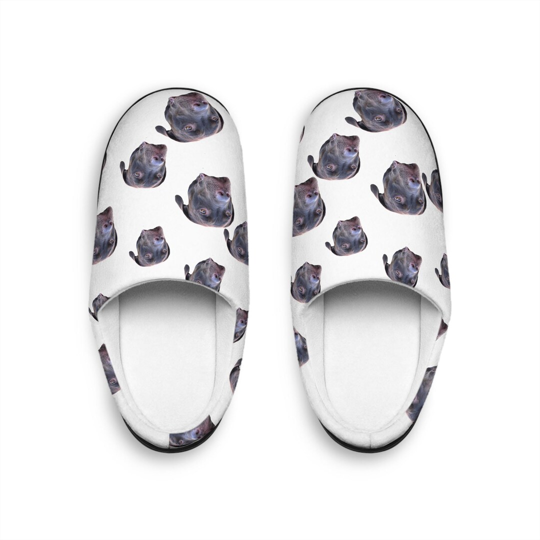 Men's Pet Face Indoor Slippers, Custom Dog Cat House Shoes ...