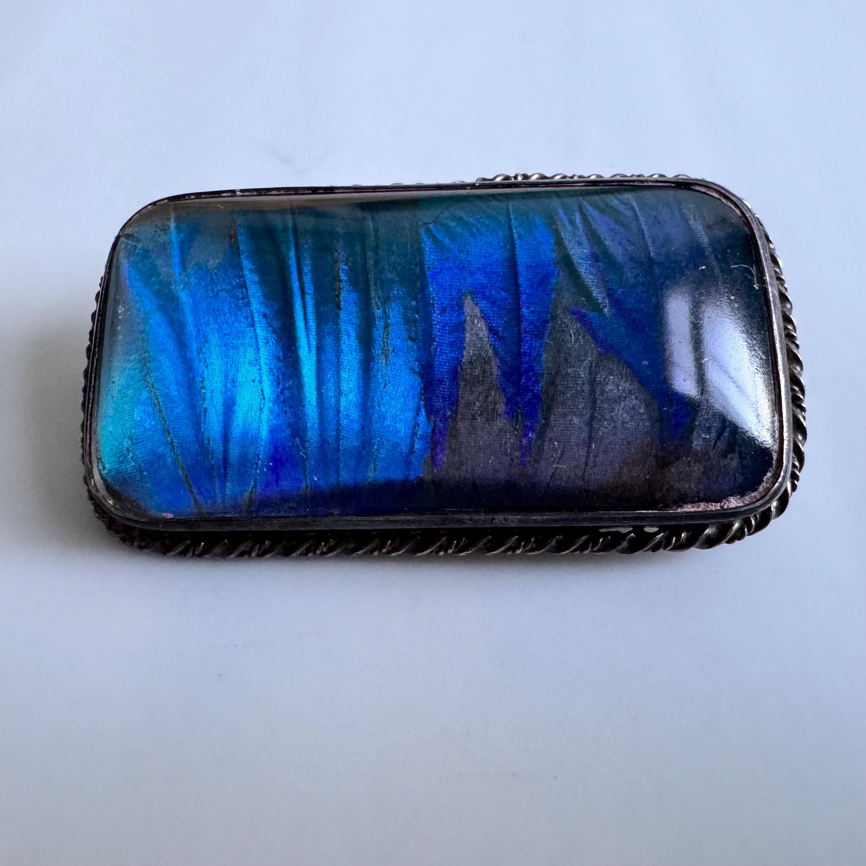 Edwardian UK Denton Butterfly Wing Brooch / Pendant in Silver Frame - Etsy
