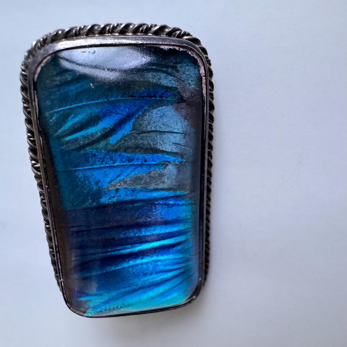 Edwardian UK Denton Butterfly Wing Brooch / Pendant in Silver Frame - Etsy