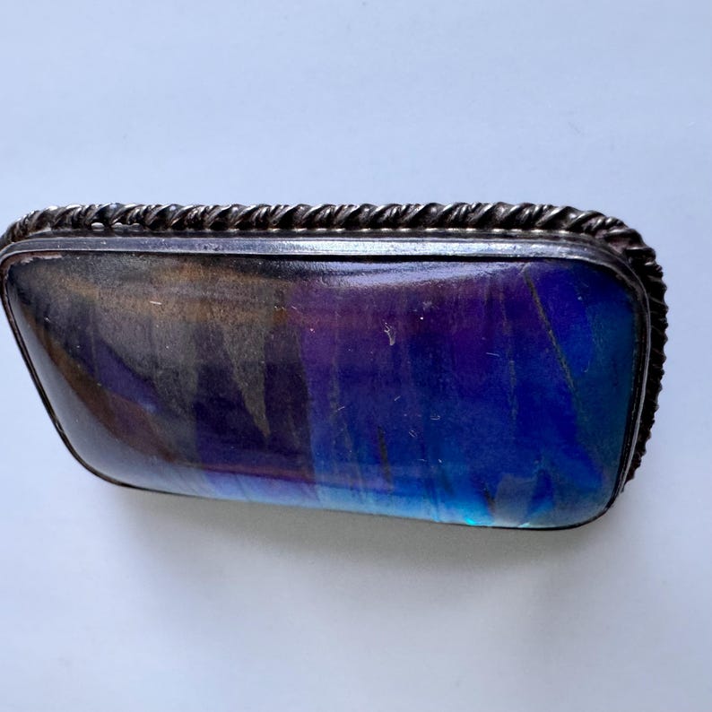 Edwardian UK Denton Butterfly Wing Brooch / Pendant in Silver Frame - Etsy